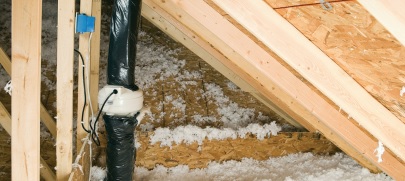 CHAPTER 16 RADON - 2020 ILLUSTRATED FIELD GUIDE TO THE MINNESOTA ...