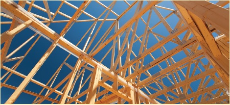 CHAPTER 6 FRAMING - 2020 ILLUSTRATED FIELD GUIDE TO THE MINNESOTA ...