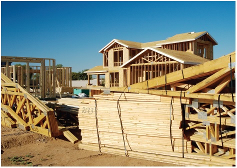 CHAPTER 6 FRAMING - 2020 ILLUSTRATED FIELD GUIDE TO THE MINNESOTA ...