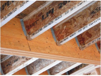 CHAPTER 6 FRAMING - 2020 ILLUSTRATED FIELD GUIDE TO THE MINNESOTA ...