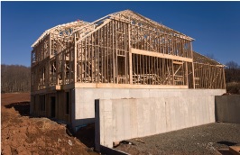 PART III STRUCTURAL - 2020 ILLUSTRATED FIELD GUIDE TO THE MINNESOTA ...